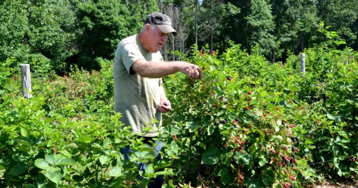 Strong Demand for Local Foods in Rural Kentucky | UKNow