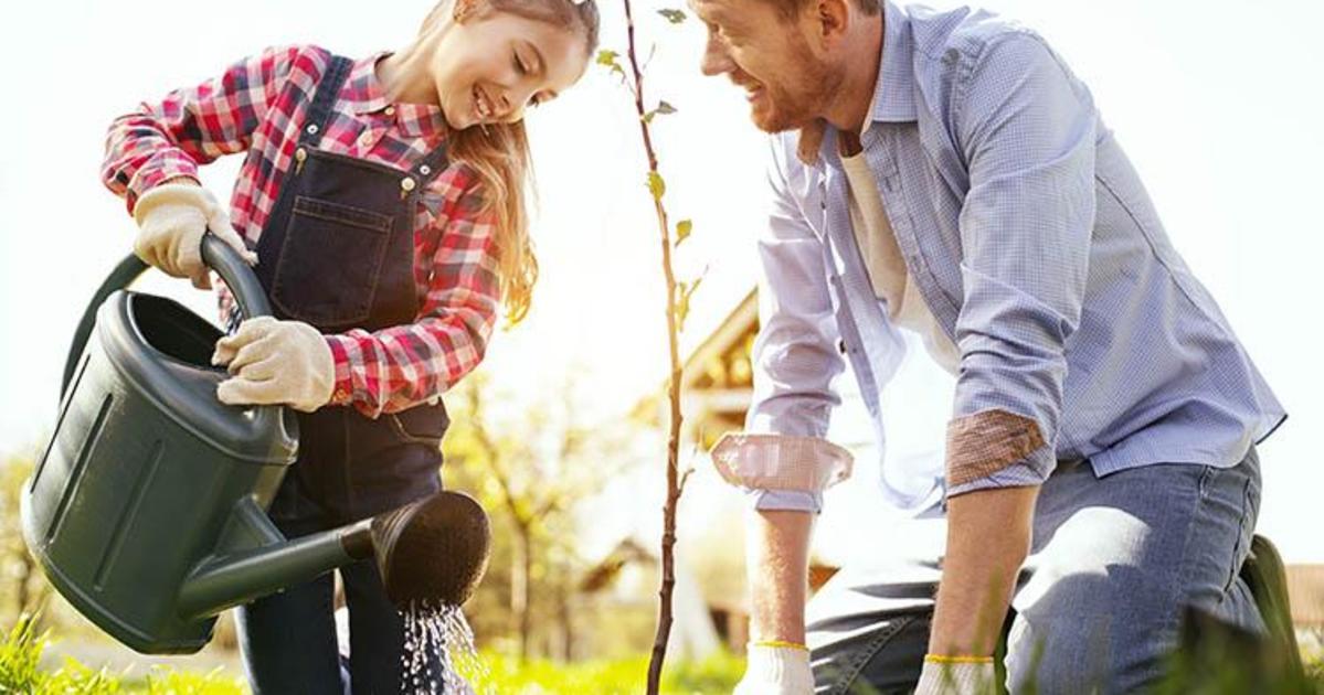 Tree Week: A Family-friendly Time Overflowing With Activities | UKNow