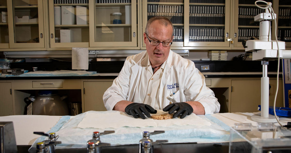 UK Researcher Makes 'Top Science Stories of 2019' List by Discover ...