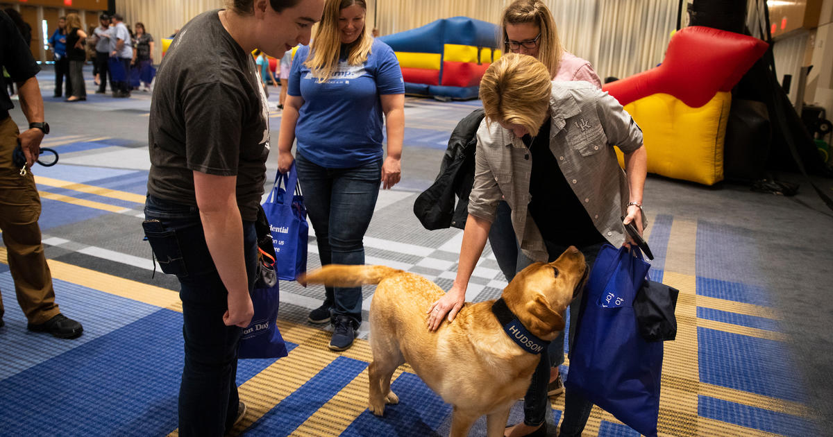 UK named 'Great College to Work For' for 5th consecutive year | UKNow