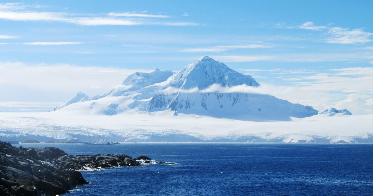 UK Entomologist Receives NSF Grant to Study Antarctic Insects | UKNow