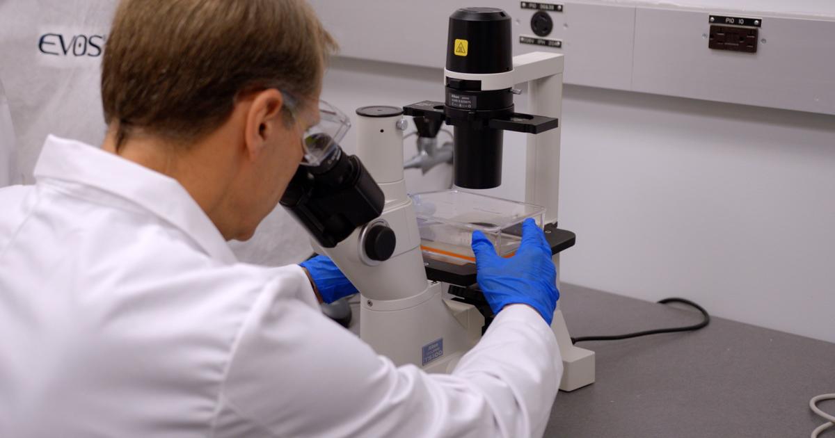 UK Physiologist Uses Biomechanics to Understand Lung Healing | UKNow