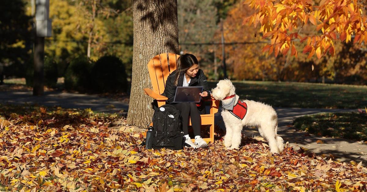 UK presents inaugural Companion Animal Speaker Series | UKNow