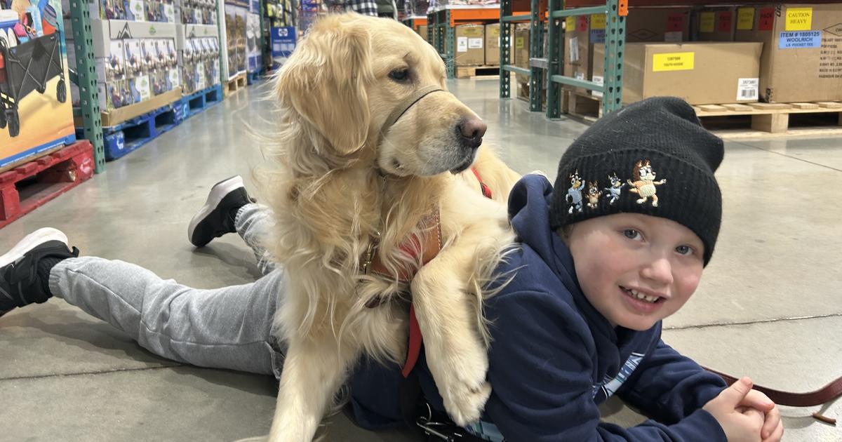 From campus to companion: UK student prepares service dog for life ...
