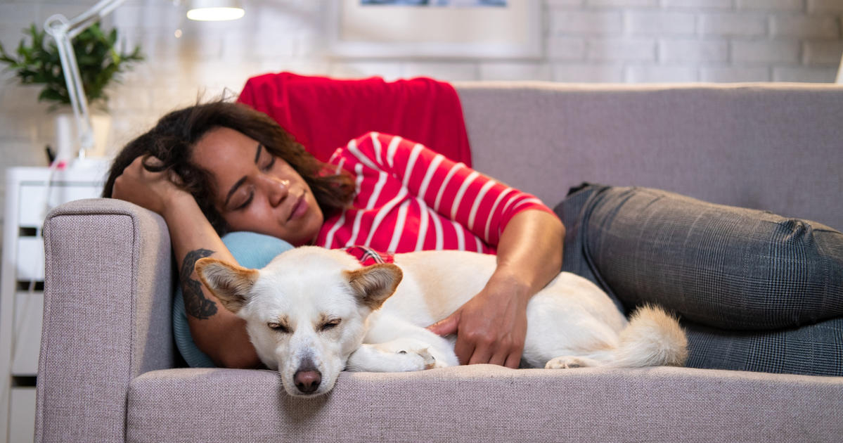 A nap a day keeps the doctor away; how to know if you're napping ...