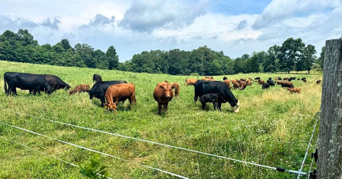 Heart of America Grazing Conference 2024 merges science and practice ...