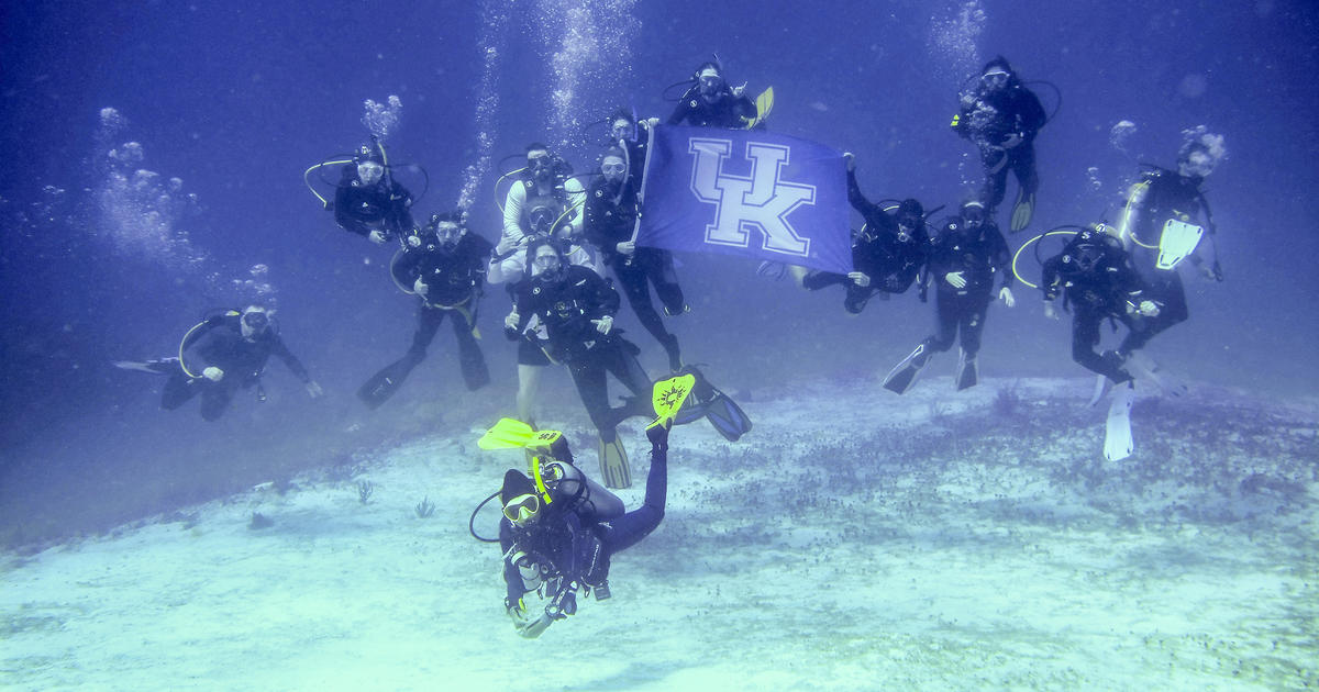 UK students get hands-on experience with coral reef ecosystems | UKNow