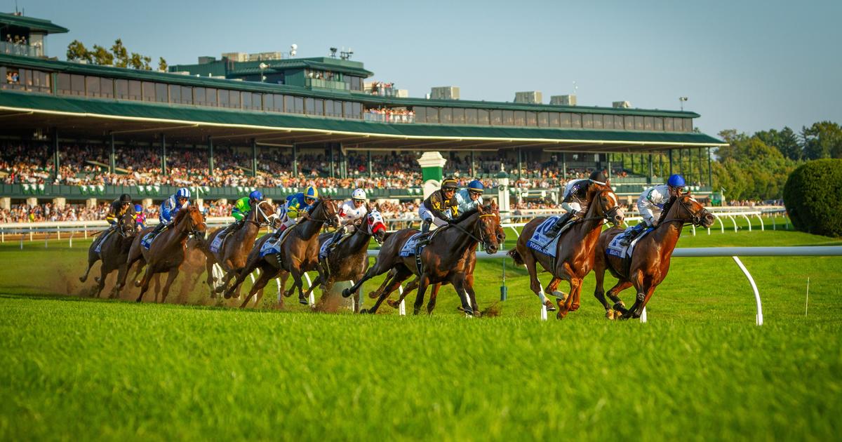 Unleashing horsepower: The genetic secret behind equine stamina | UKNow