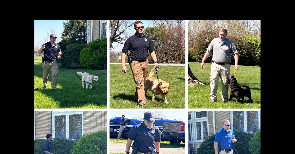 UK Police Department Explosive K9 teams and Critical Response K9 teams ...