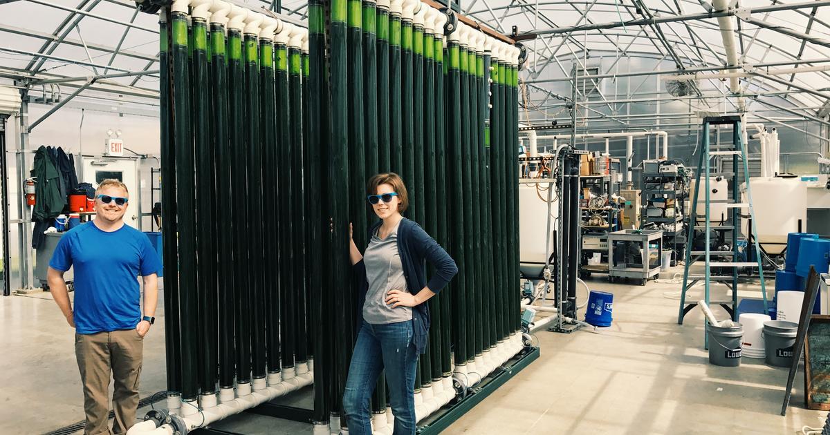 Sustaining the Next Generation of Energy Innovators | UKNow