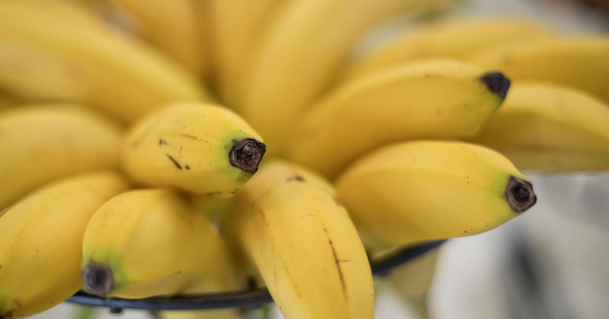 Wildcat Pantry @ The 90 Offers Open Hours During Break | UKNow