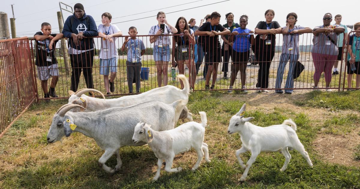 UK, Kentucky State University partner on USDA grant to promote change ...