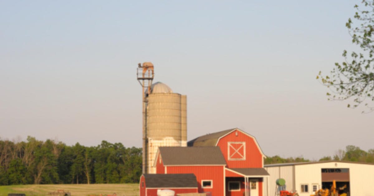 Kentucky Agricultural Economy Improves | UKNow