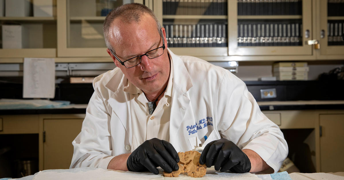 Honoring University Research Professor Peter Nelson | UKNow