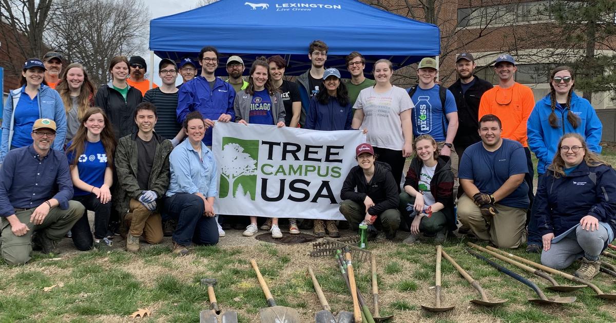 Interactive Tree Map Helps UK Land Tree Campus USA Award | UKNow