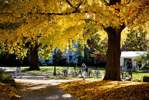 Kentucky Showcases Autumn Through a Kaleidoscope of Colors | UKNow