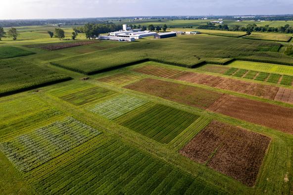 Candidate 3 for VP for land-grant engagement, dean to participate in ...
