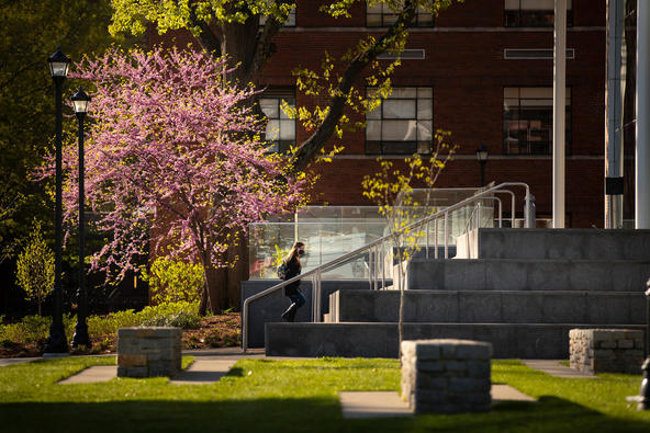 Participate in DEI Campus Multicultural Space Survey | UKNow