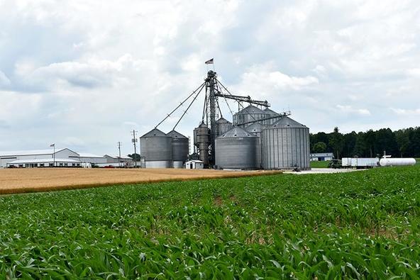 Kentucky Grain Farmers Adapt to New Climate Normals | UKNow