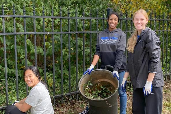 ‘Together We Grow’: UK celebrates agriculture with video tribute, week ...