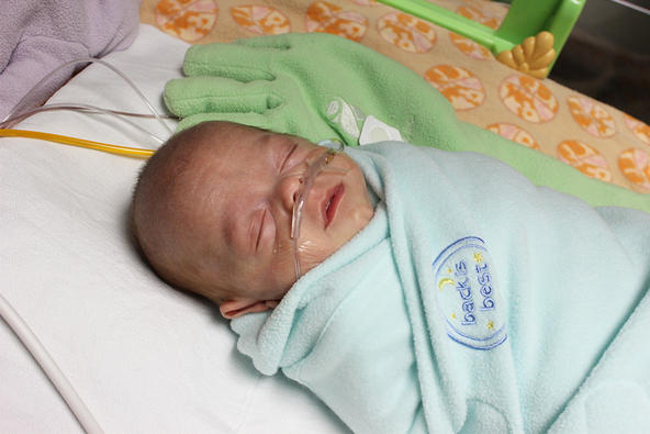 Pediatric Experts Find Aromatherapy Effective for Promoting Infant ...