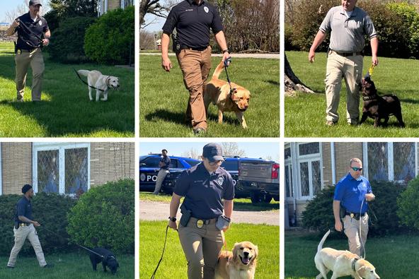 UK Police Department Explosive K9 teams and Critical Response K9 teams ...