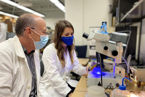 Make Research Part of Your Undergraduate Experience | UKNow