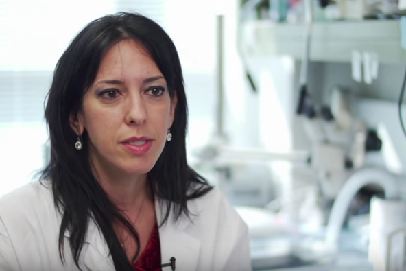 Loria to Present Gender-Based Cardiovascular and Metabolic Research at ...