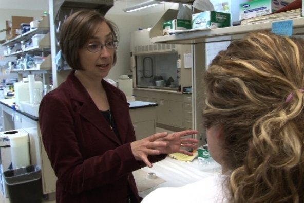 Biology Grant Will Focus on Fish, Possible Key to Human Retinal ...