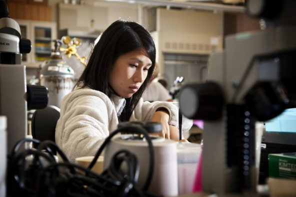 Four UK Professors Honored for Outstanding Research Programs | UKNow