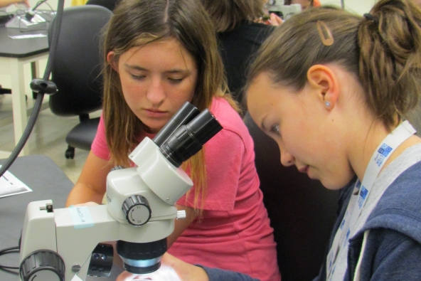 See Blue STEM Camp Offers Students Hands-on Activities | UKNow