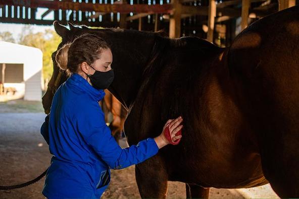UK Ag Equine Programs Students Give Back to Equine Community | UKNow
