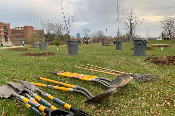 Interactive Tree Map Helps UK Land Tree Campus USA Award | UKNow