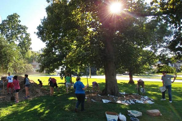 Tree Week: A Week of Tree-Centric Activities For All | UKNow