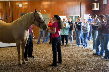 ‘We have come a long way’: UK Ag Equine Programs celebrates 20 years of ...