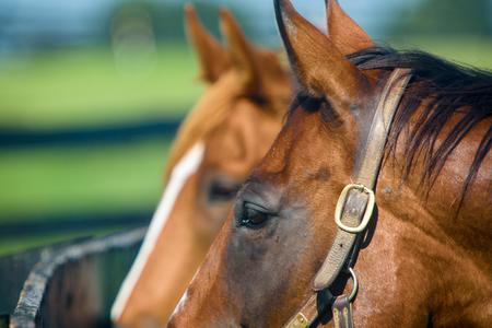 Unlocking genetic secrets: New UK research project set to transform ...
