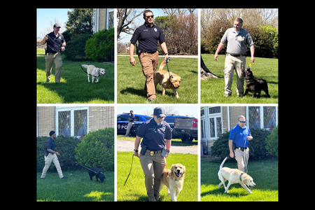 UK Police Department Explosive K9 teams and Critical Response K9 teams ...